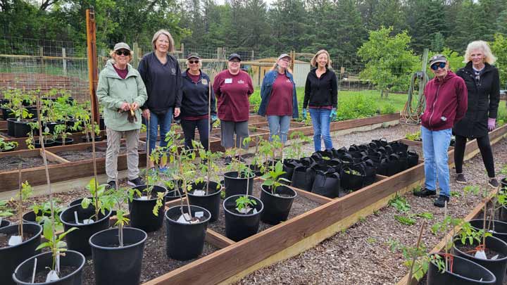 Community Giving - Crow Wing Master Gardeners